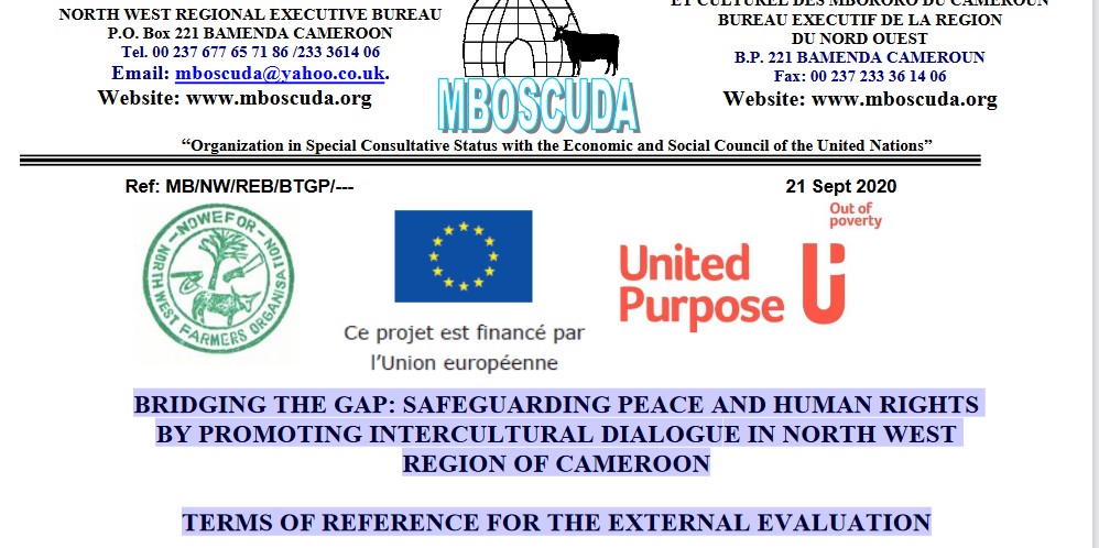 ITOR External Evaluation of the BTG Project-CM - MBOSCUDA