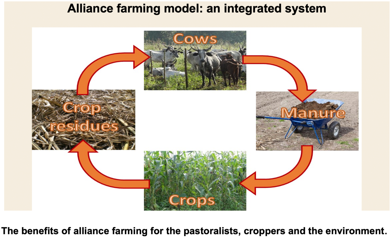 Agro-Pastoral Development - MBOSCUDA